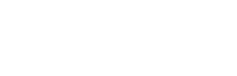 Home - Forza Group